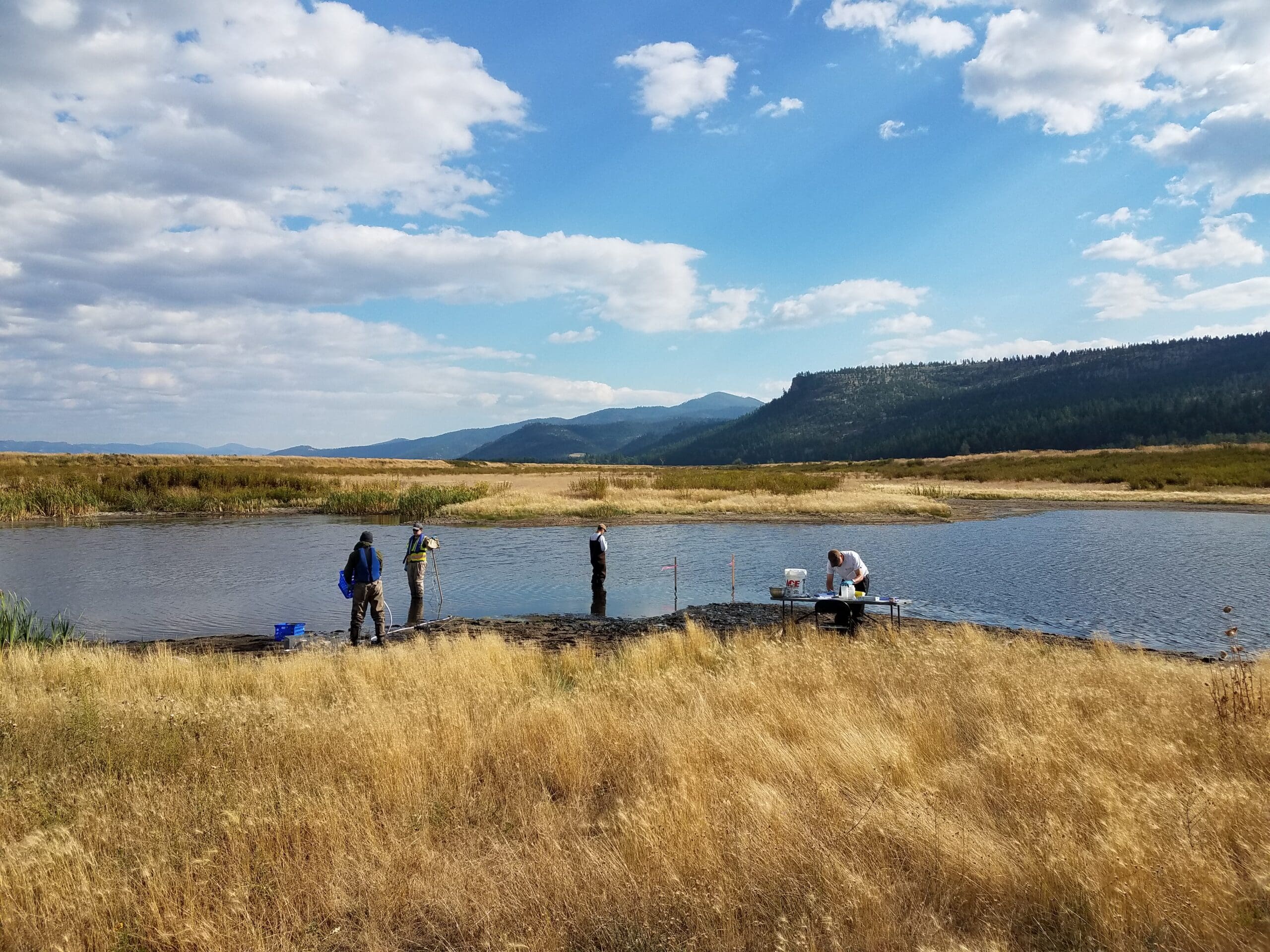 Environmental Site Investigation & Remediation Services