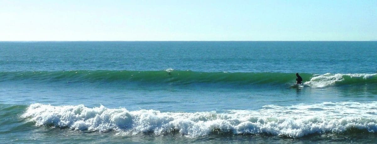 Climate Change: David Revell Serves on Panel at Global Wave Conference