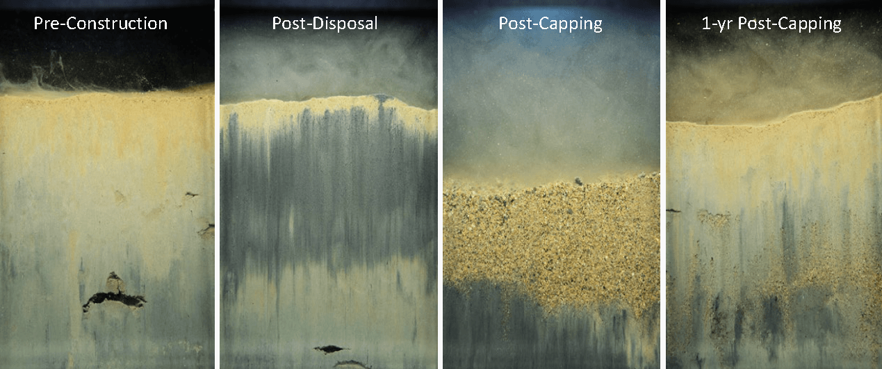 Sediment Profile and Plan View Imaging | Integral Consulting