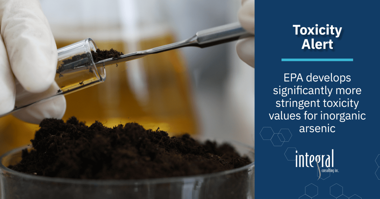 Integral Consulting - Expert Environmental Consultants and Engineers ...